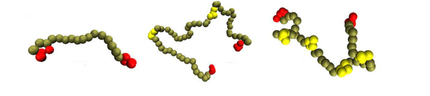 Watching Proteins Dance Case Scientific